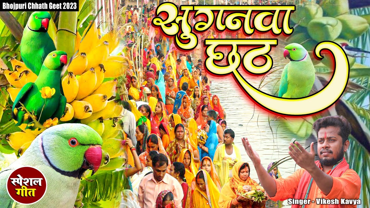 सुगनवा छठ | Suganwaa Chhath Geet | पारंपरिक छठ गीत | Chhath Geet 2023 ...