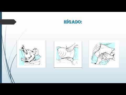 Exploración del abdomen y Region inguinal - YouTube