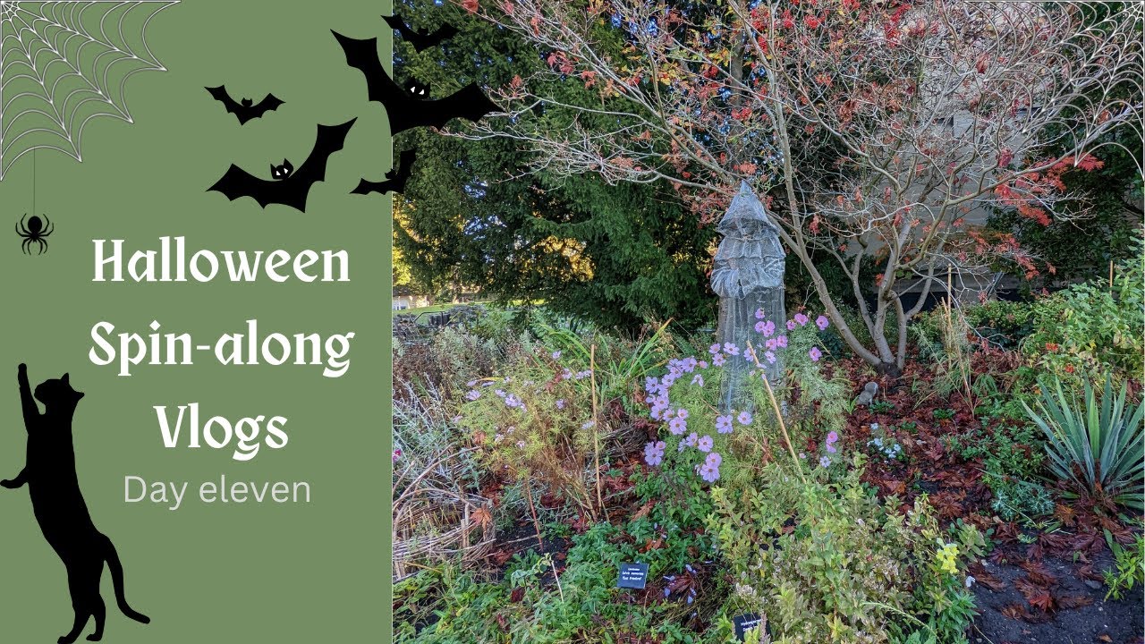 Halloween spin-along vlogs day 11 - Ghost hunting - YouTube