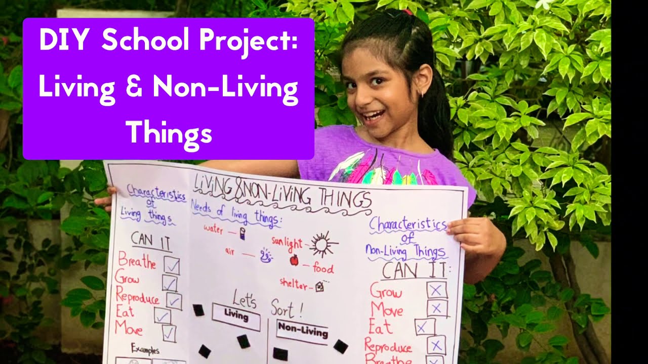 2nd Grade DIY School Project Living Non Living Things YouTube 2nd-grade-diy-school-project-living-non-living-things-youtube