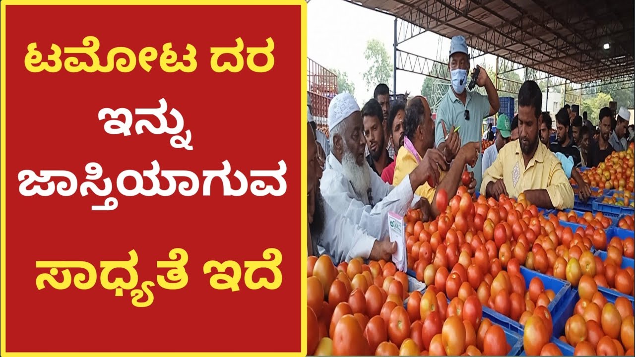 ಇಂದಿನ ಟಮೋಟ ದರಗಳು ಕೋಲಾರ,Today Tamota Rates, Kolara, Tamota,Market ADHAR ...