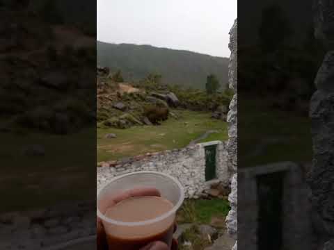 #nature #rain #tea #beautiful