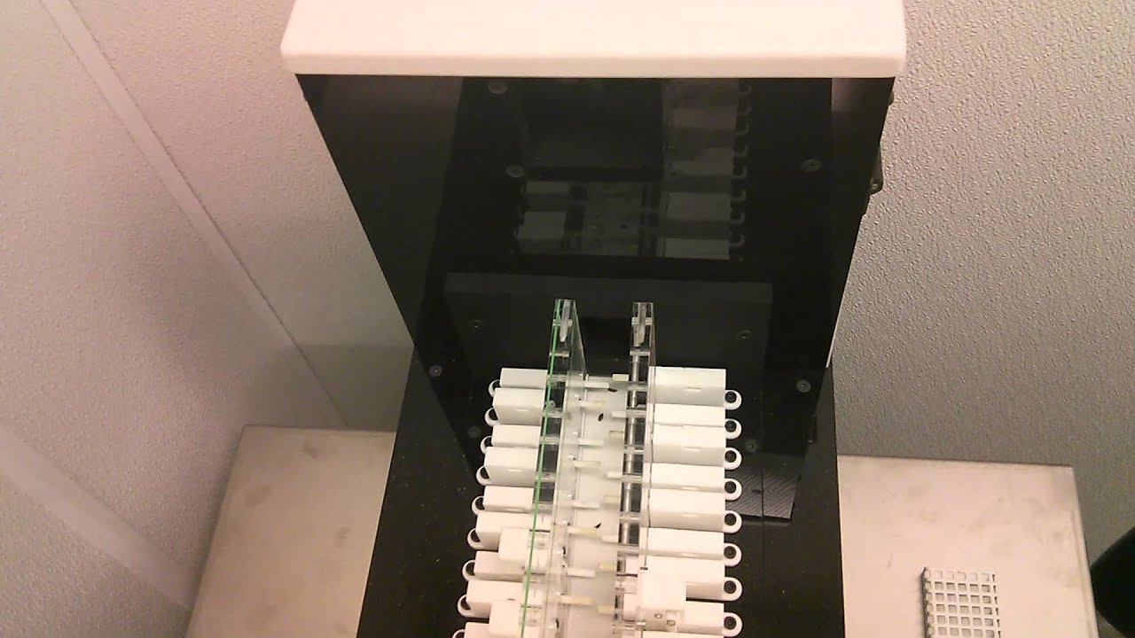 Erasmus Ladder Top View - YouTube