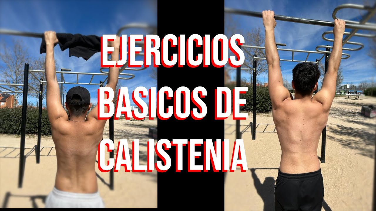 Ejercicios BÁSICOS de CALISTENIA (PRINCIPIANTES) - YouTube
