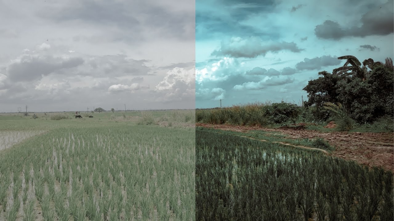 How to Shoot LOG Video With Any Phone || FREE 🔥🔥 - YouTube