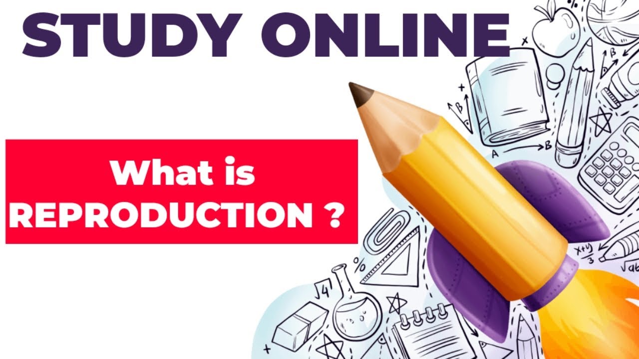 What is Reproduction | Importance of reproduction | Definition of ...