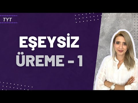 (30.Ders)  EŞEYSİZ ÜREME 1  | Seda Hoca Biyoloji 🧬