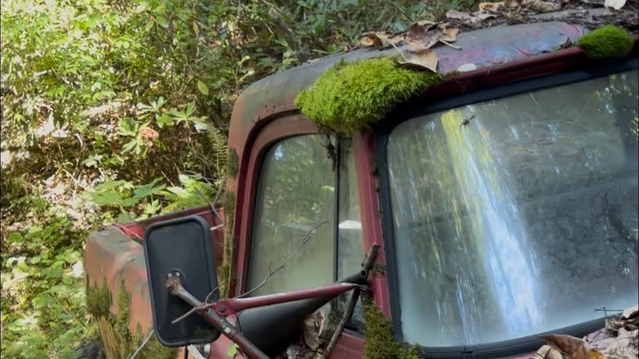 Atomic 64 Dodge D100 revive Chapter 1 - YouTube