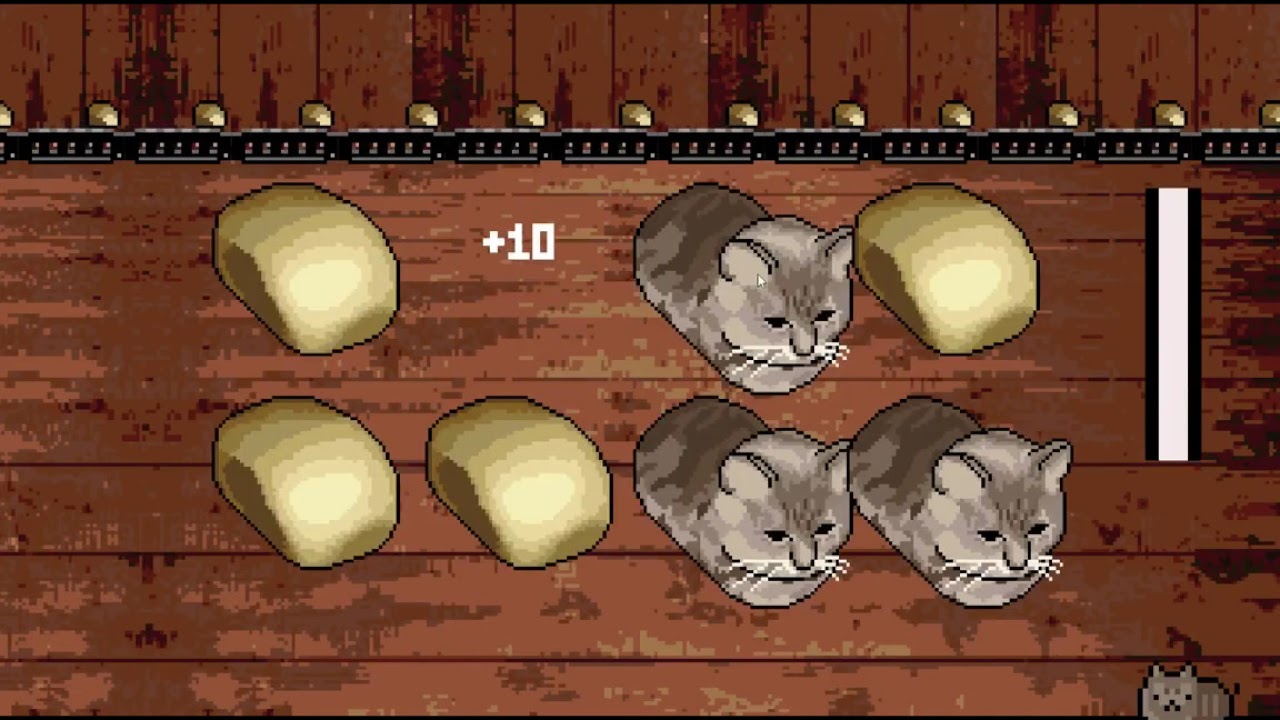 Cat or Bread - 650 score - YouTube
