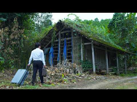 I Returned to the Forest Restoring an Abandoned House After Years – Incredible Change