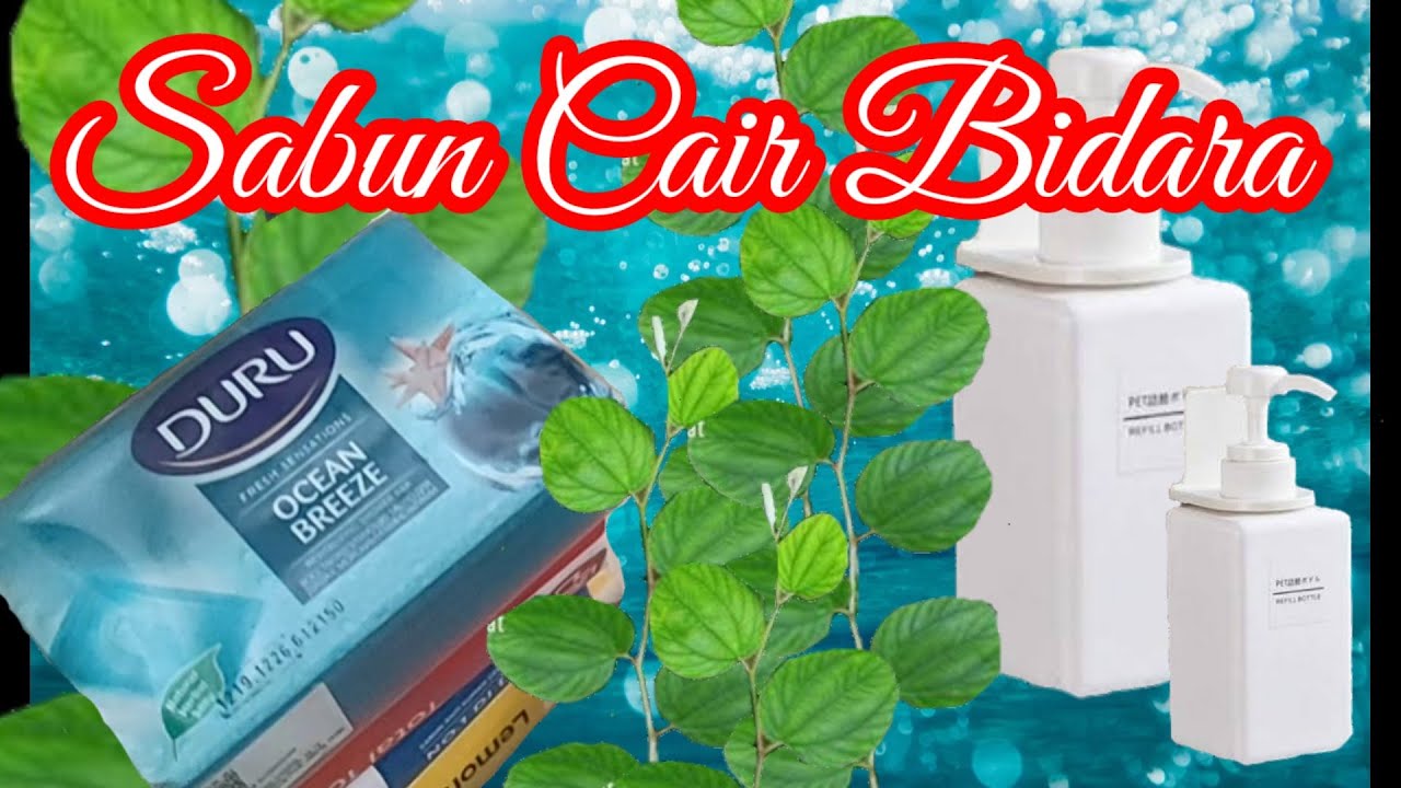 Cara Membuat Sabun Cair Bidara || Sabun yang di Takuti syaithon - YouTube