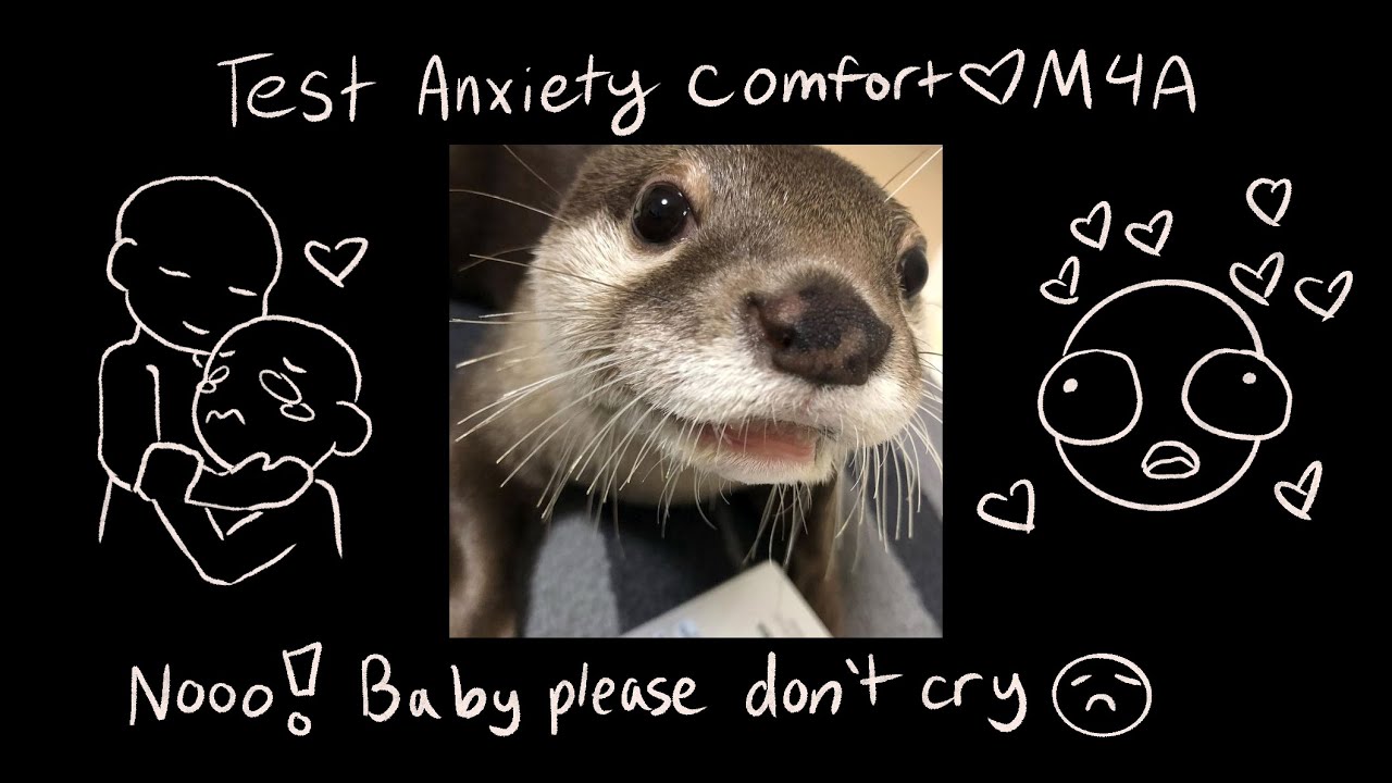 [M4A ASMR] Test anxiety comfort [crying listener] [fluff] [boyfriend rp ...