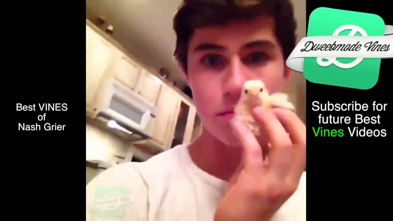 Best Vines Funny Vines Compilation June 2014, Vines Funny, The Vine #11 ...