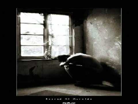 Love dissicons (a cailey death story) part2of2