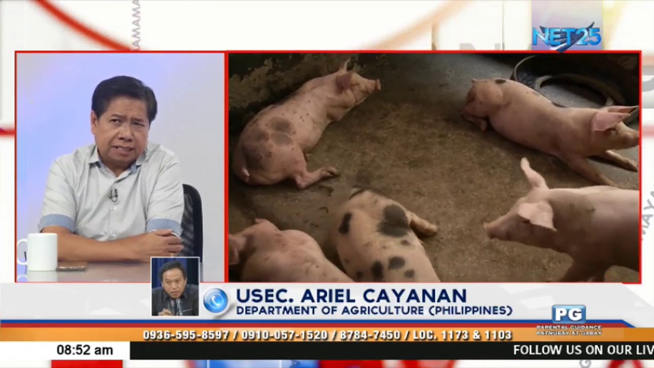 Interview with Department of Agriculture Usec. Ariel Cayanan - YouTube
