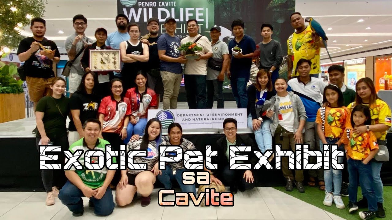 Exotic pets sa Cavite! DENR wildlife exhibit sa SM tanza Cavite - YouTube