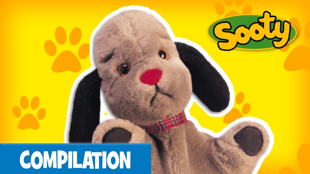 Sweep Episodes! │ HAPPY BIRTHDAY SWEEP! - Full Episodes 📺 │ Sooty ...