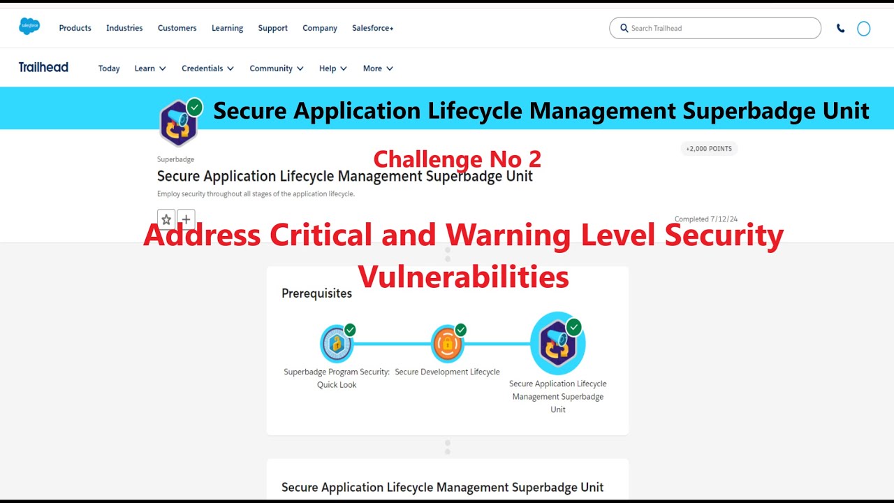Address Critical and Warning Level Security Vulnerabilities|| Challenge ...