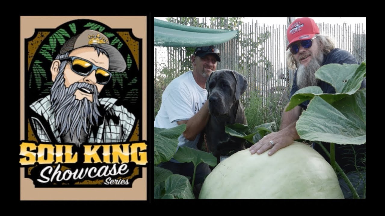 Soil King Showcase Season 1 Episode #8 (Synergy Agriculture Products ...