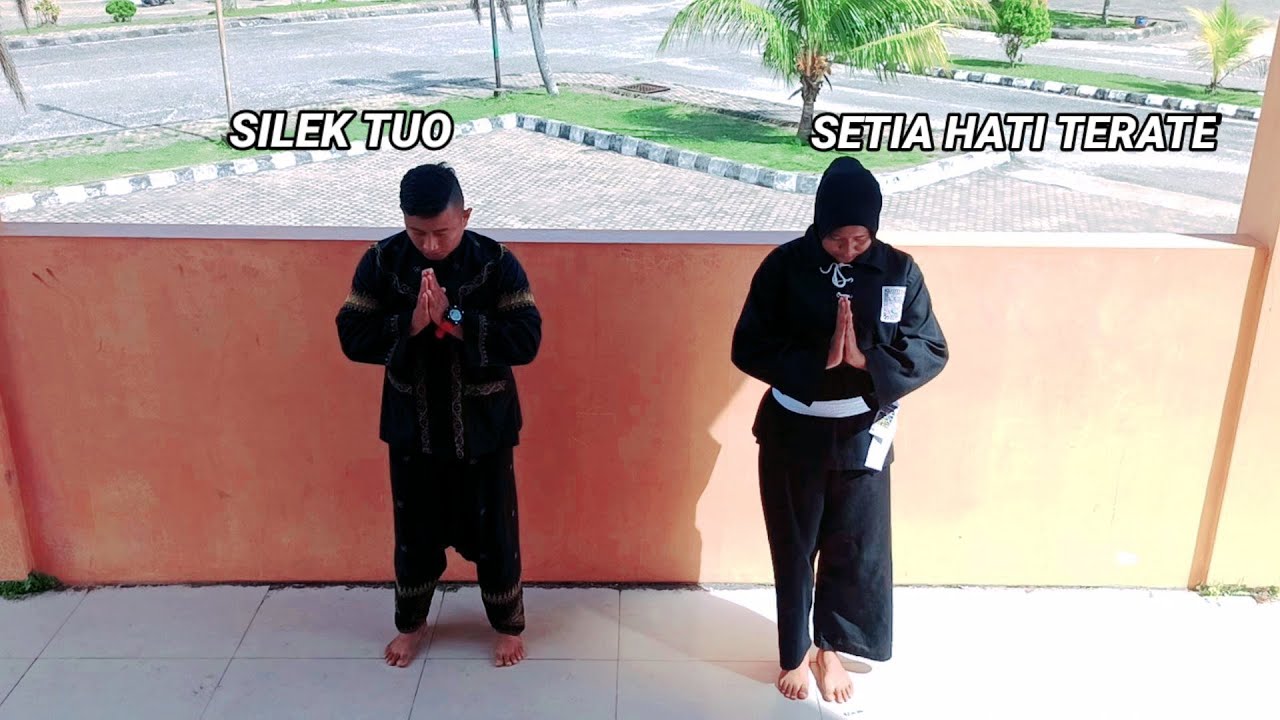 SILEK TUO kolaborasi DENGAN pencak silat SETIA HATI TERATE #silektuo # ...
