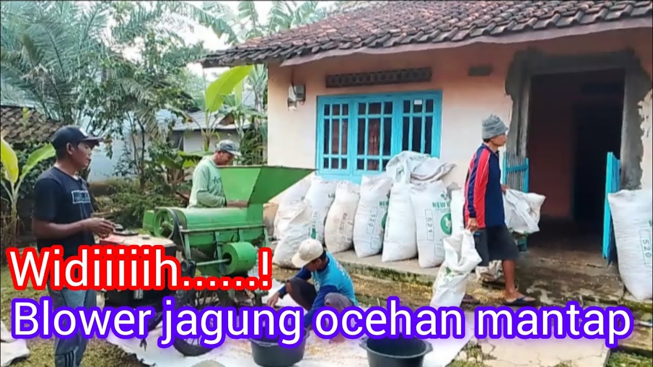 Blower jagung kecil tenaga besar #fypシ゚viral #viralvideo #blowerjagung ...