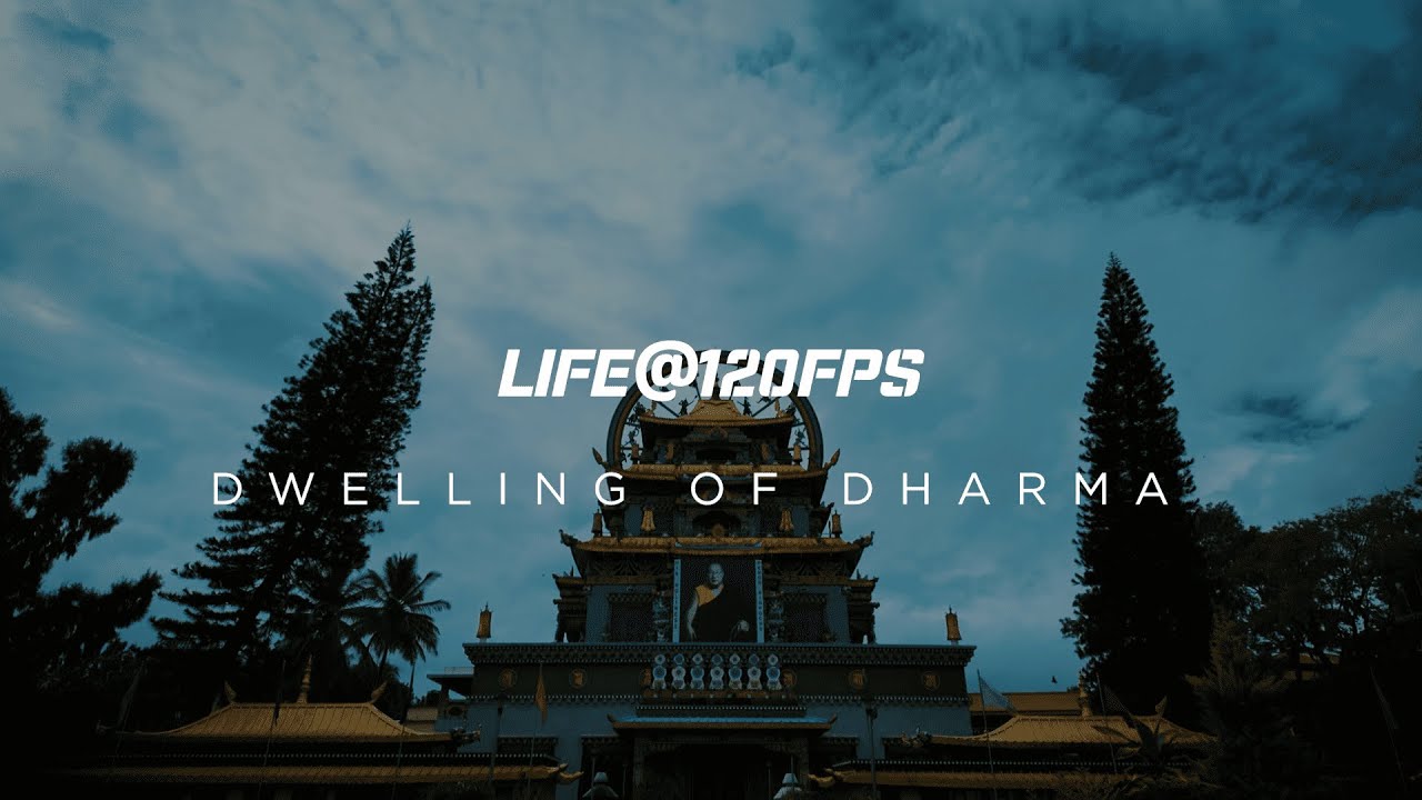 Namdroling Monastery - Dwelling of Dharma | Life@120FPS | DJI Osmo ...