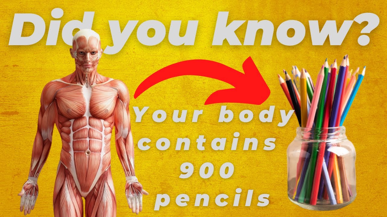 Did you know? Your Body Contains Enough Carbon To Make 900 Pencils ...