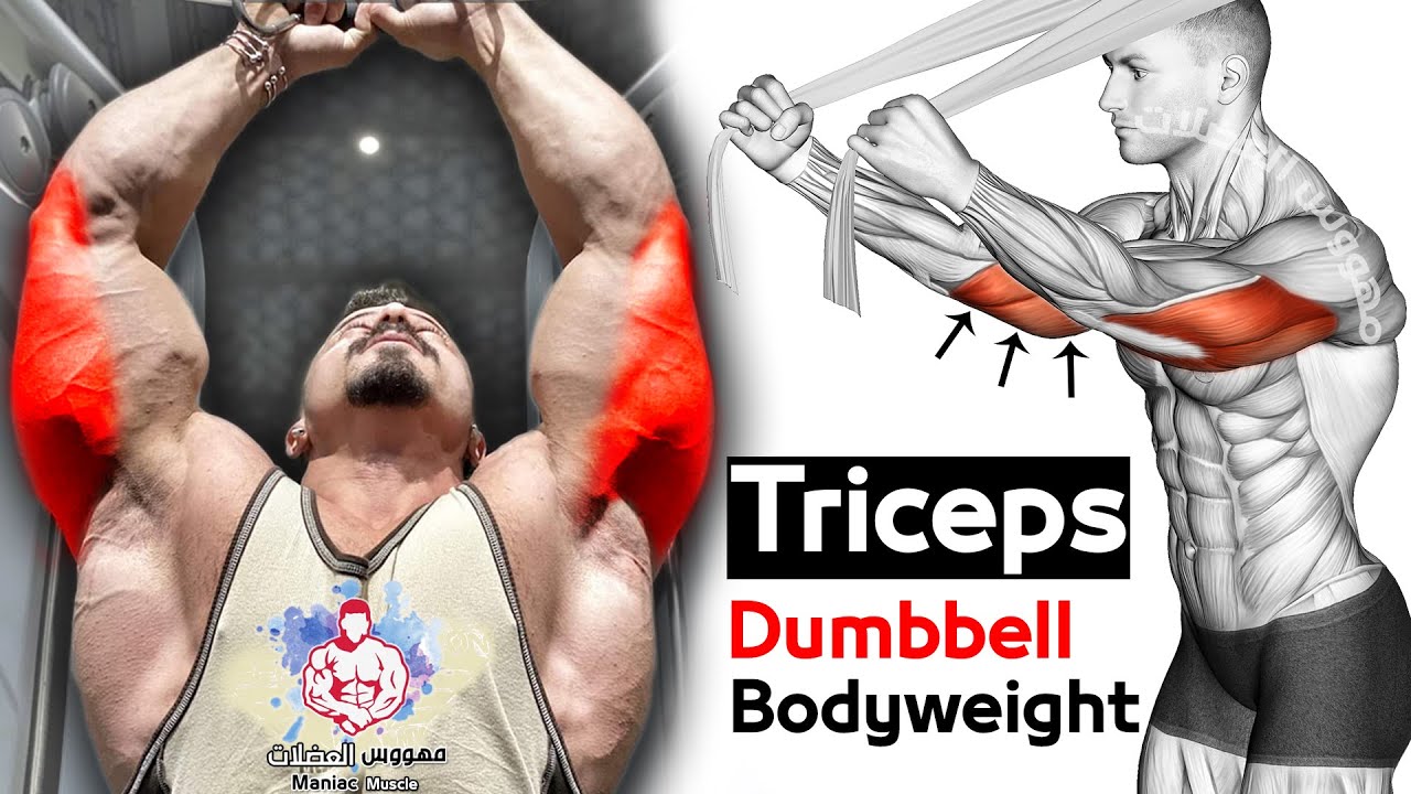 Triceps Exercise | With Dumbbell | Bodyweight workout, Maniac Muscle ...