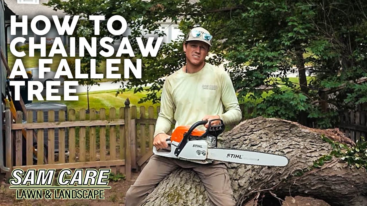 How to Chainsaw a Fallen Tree - YouTube