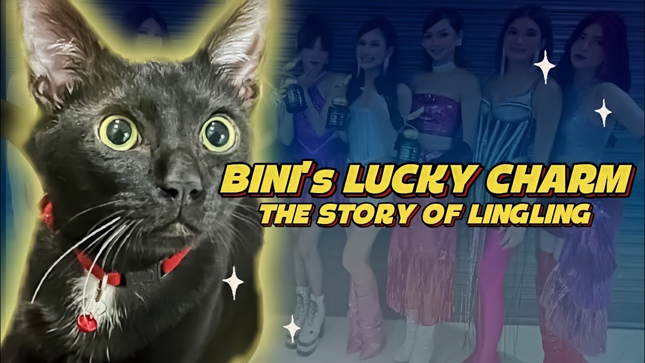 The Story of Lingling: BINI's Lucky Charm | Storytelling | PPOP Insider ...