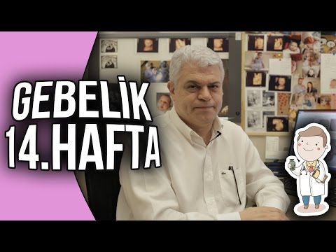 Doktor Evinde - Gebelik 14. Hafta