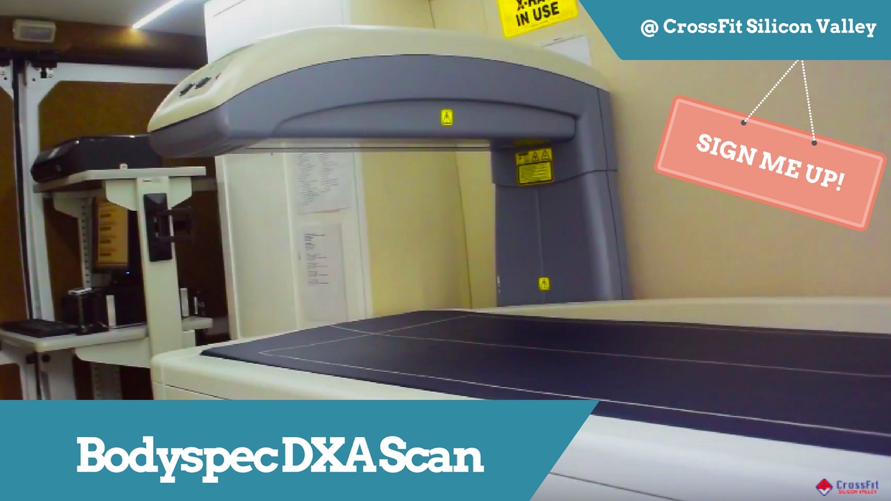 Bodyspec DXA Scan | MT Vlog 3 - YouTube