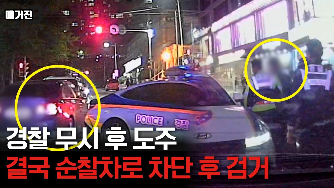 음주운전 무조건 잡는다 Youtube