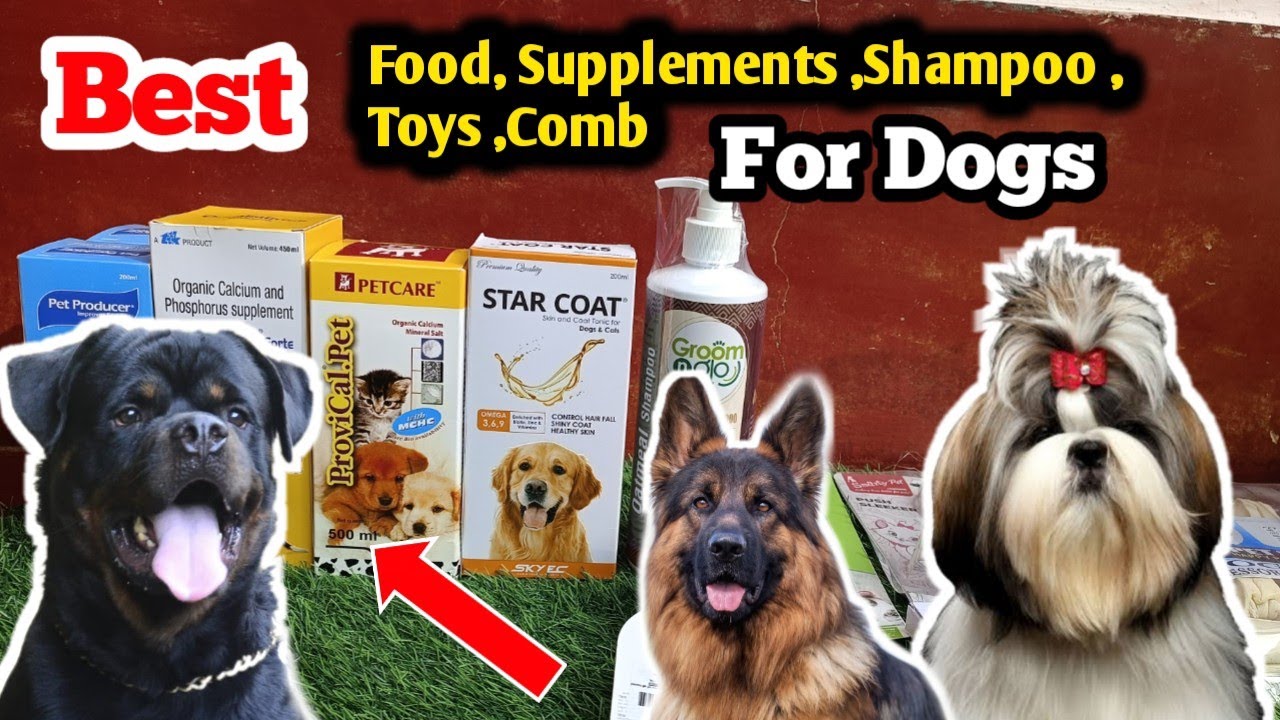 Best Food, Supplements, Shampoo, Toys, Comb For Puppy And Dog | Dog ...