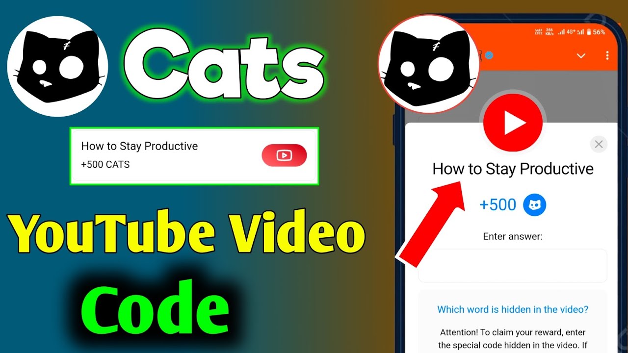 How To Stay Productive Cats Video Code New | How To Stay Productive ...
