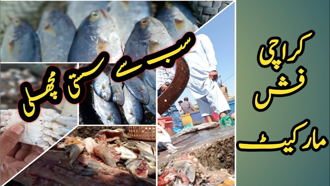 Oldest Fish Market Karachi | Ibrahim Haidri Wholesale Fish Market Info ...