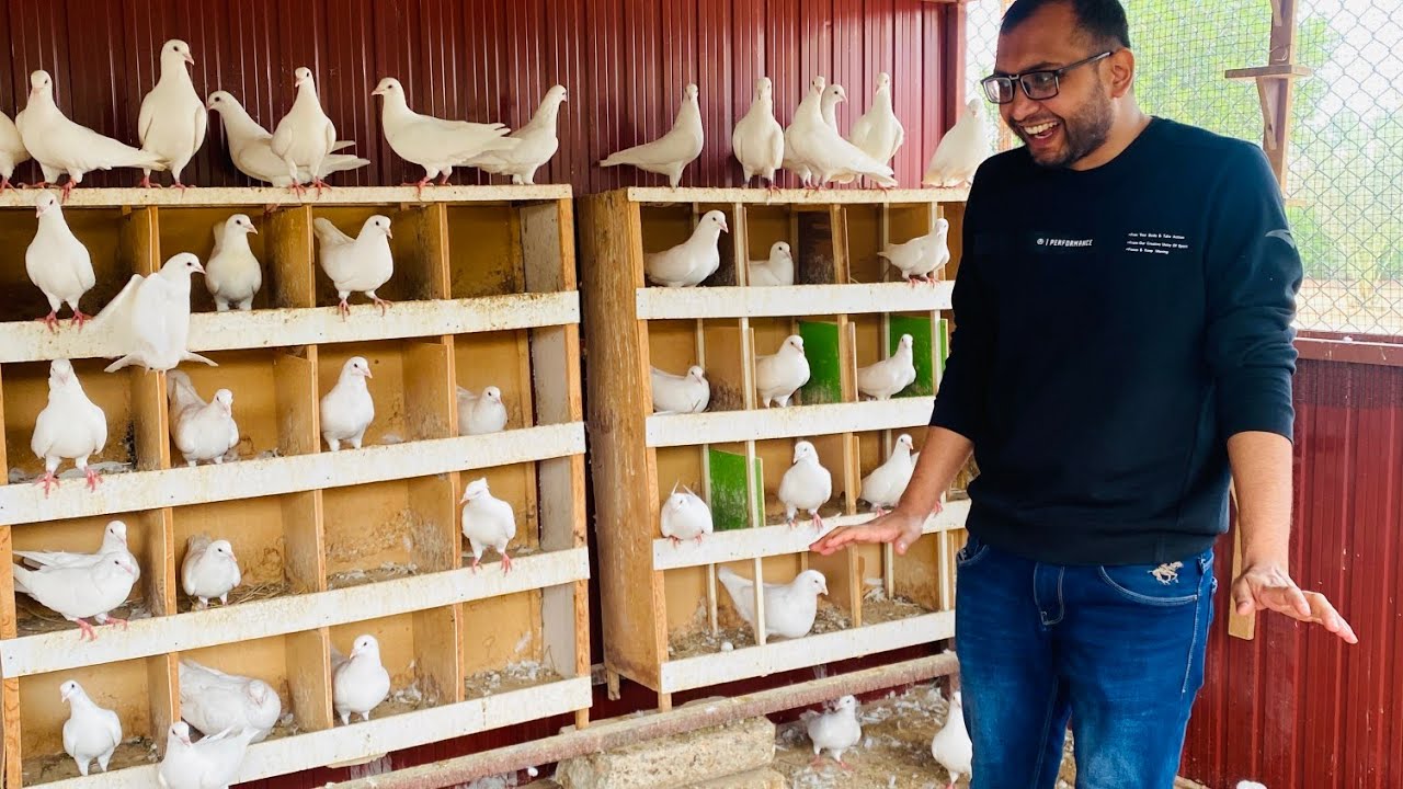 A DAY IN ABDALI FARMHOUSE KUWAIT 🇰🇼 - YouTube