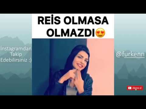 komik hayvan videoları