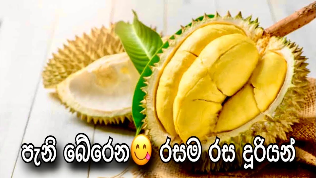 Durian | සමහර අය කන්න ආස 😋 සමහර අය කන්න ආස නැති 🤮 මමත් දැන් කන රසම රස ...