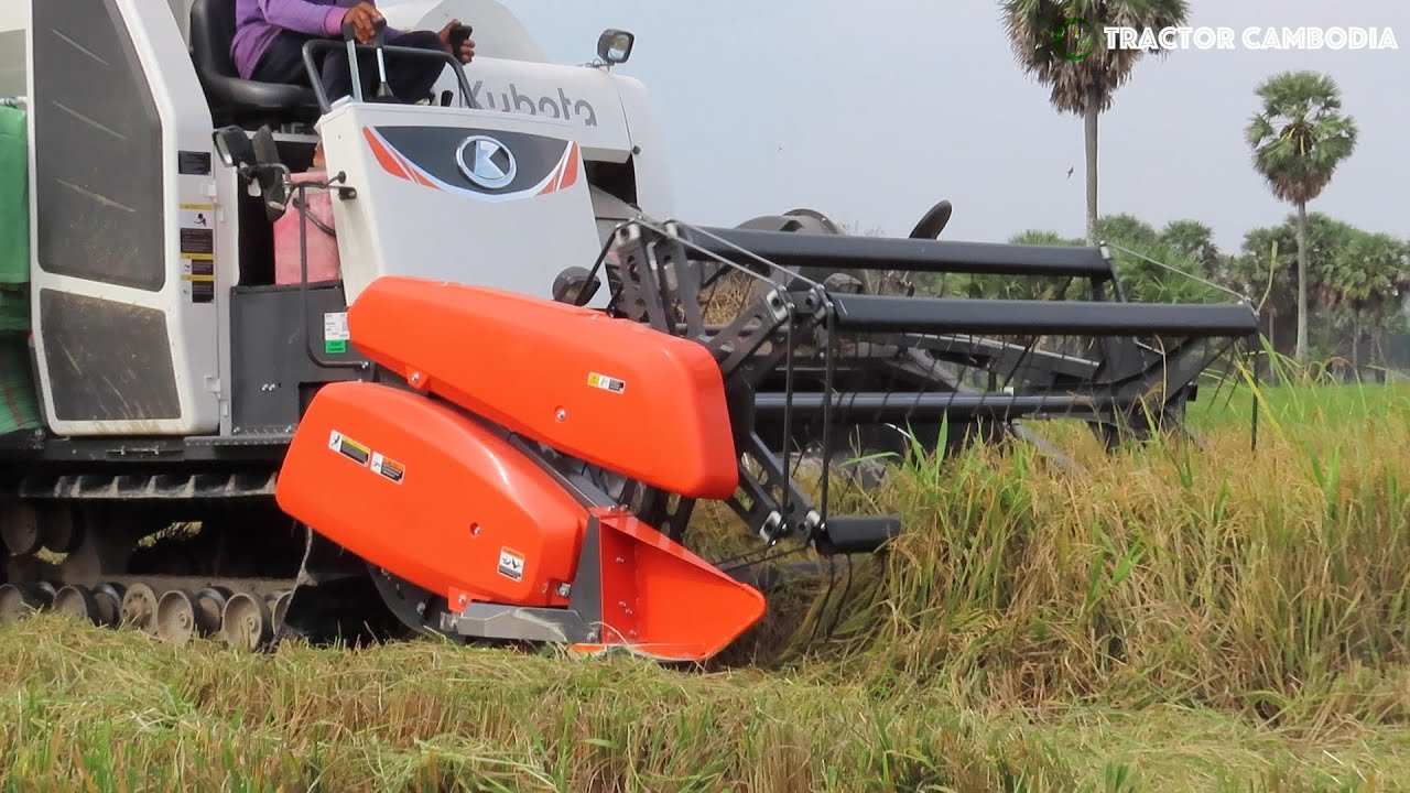 Awesome Rice Harvester Machine At Nice Paddy Field | Greet & Powerful ...