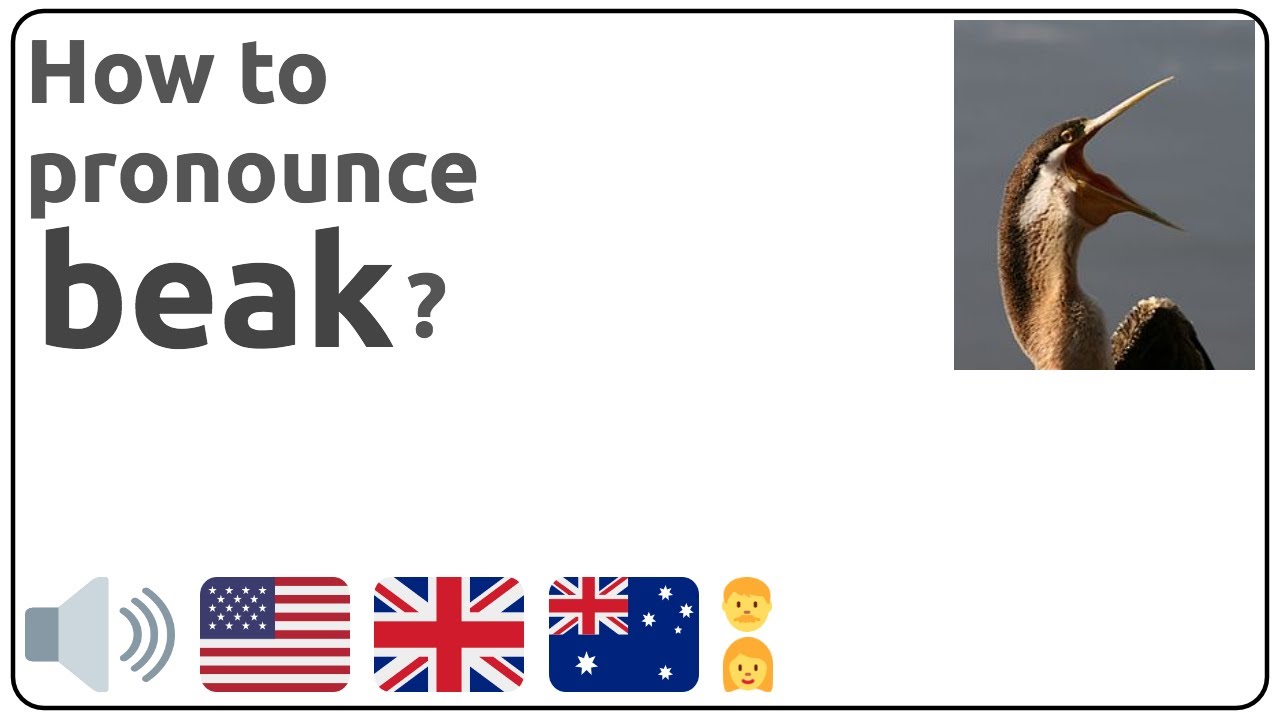 How to pronounce beak in english? 🇺🇸 🇬🇧 🇦🇺 Pronunciation of beak and ...