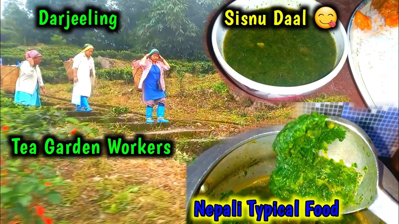 😋 Typical Nepali Food | Sisnu ko daal | Darjeeling Lover | Darjeeling ...
