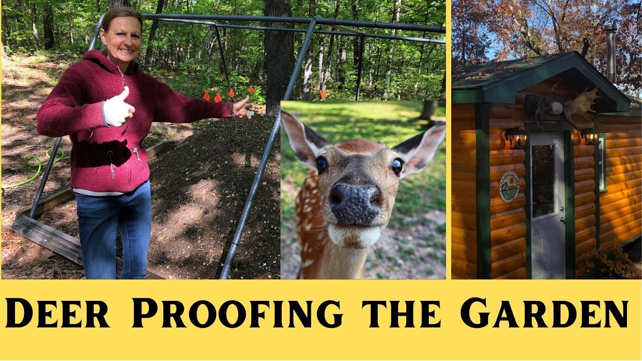Deer Netting - Our Garden is Attracting Deer! - YouTube