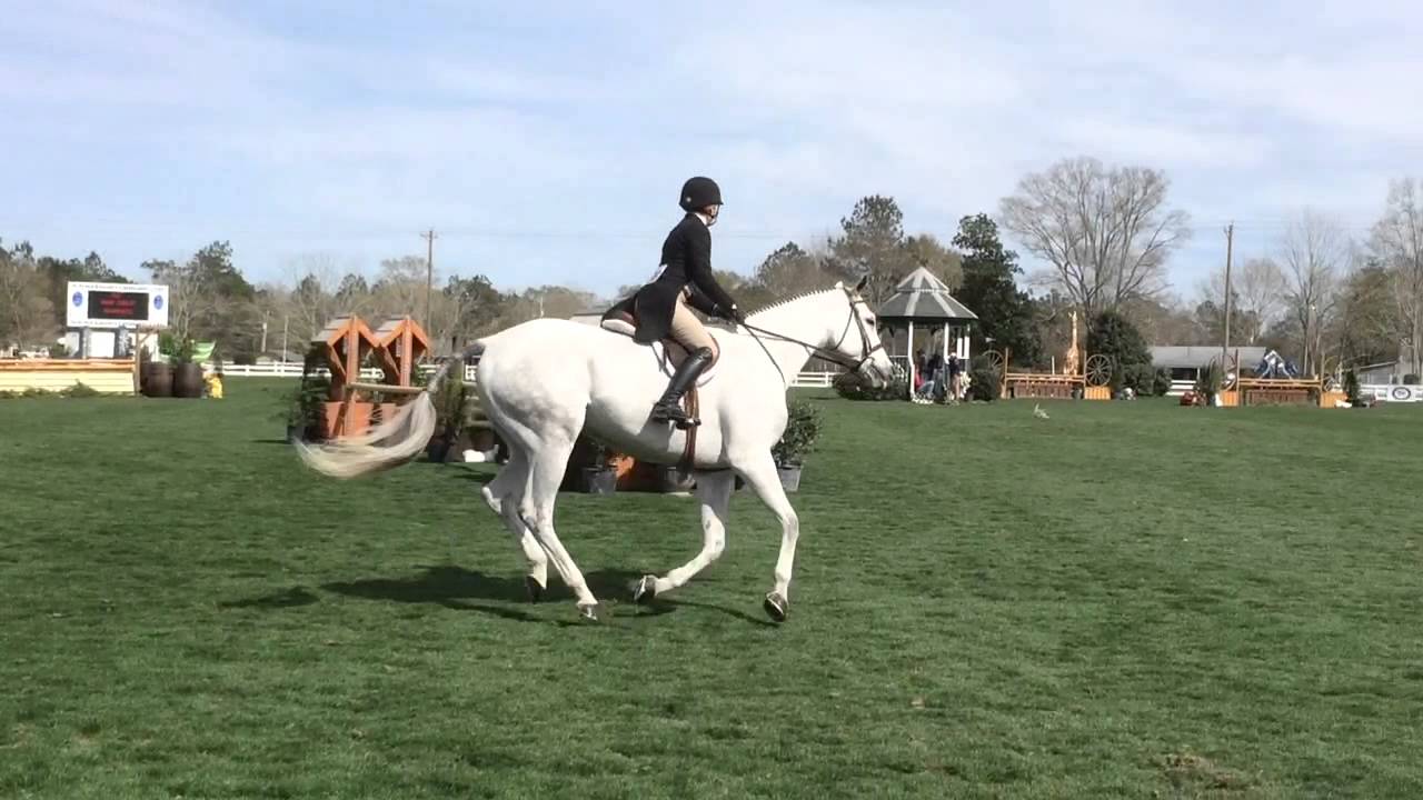 DC national derby Gulfport 3-6-15 - YouTube