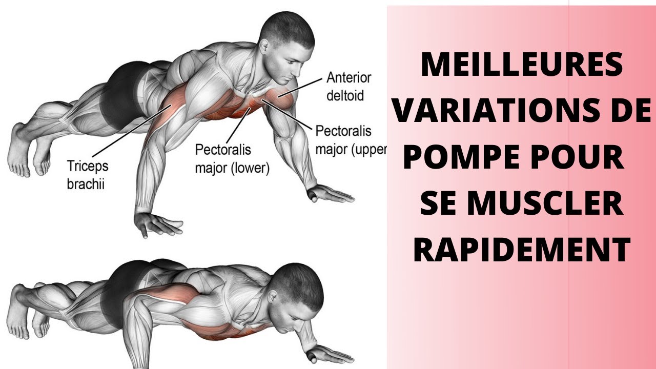 MEILLEURES VARIATIONS DE POMPE POUR SE MUSCLER RAPIDEMENT - YouTube