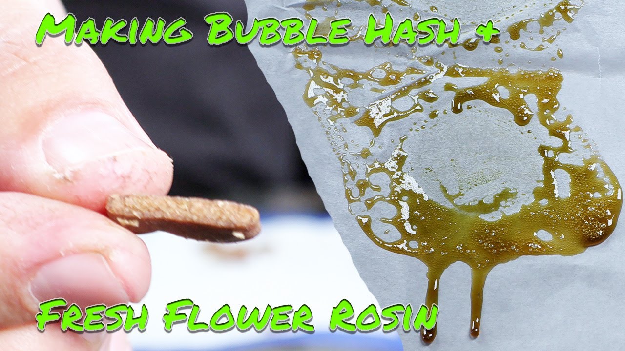 Making Bubble Hash & Fresh Flower Rosin - YouTube