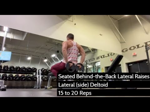 Seated Behind-the-Back Lateral Raises - YouTube