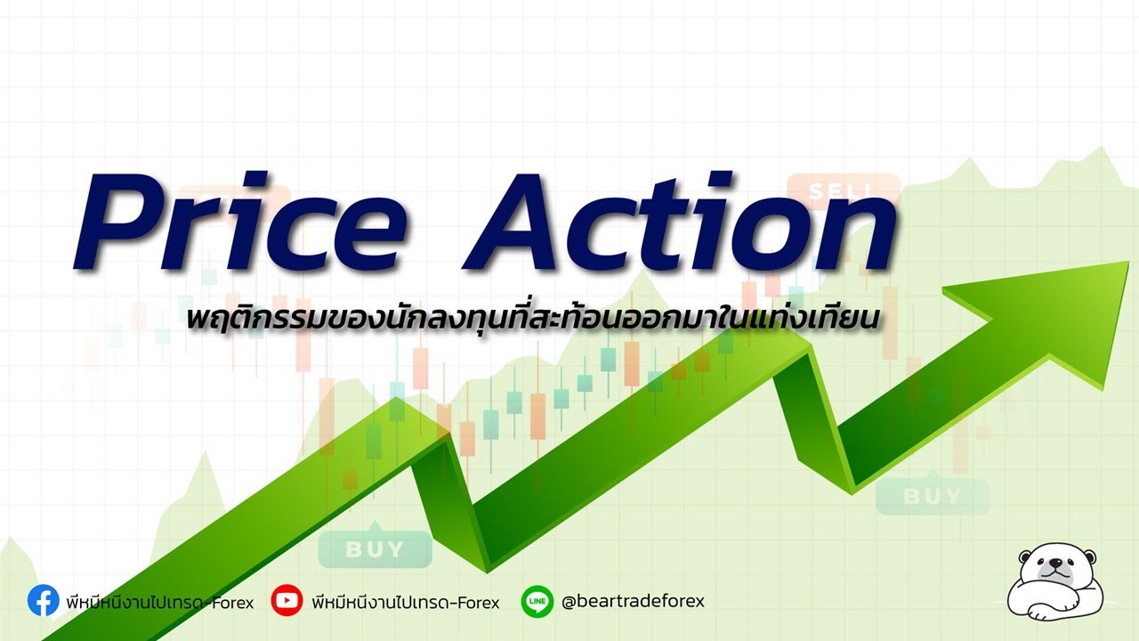 EP 04 Price Action พฤติกรรมของนักลงทุนในตลาด Forex - YouTube