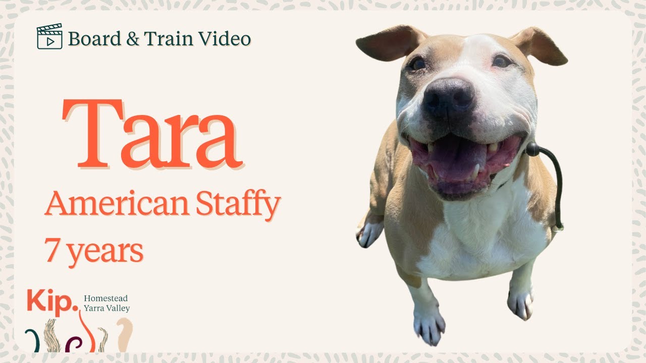 Tara Training Video - YouTube