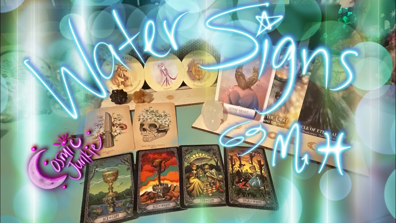 🌊Water Signs🌊 Cancer, Scorpio, Pisces ♋️♏️♓️ Emotional Fullfilment for ...